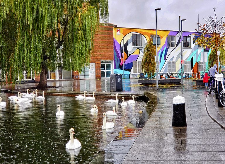 20 Dublin Neighborhood Recommnendations - Planet Gusto